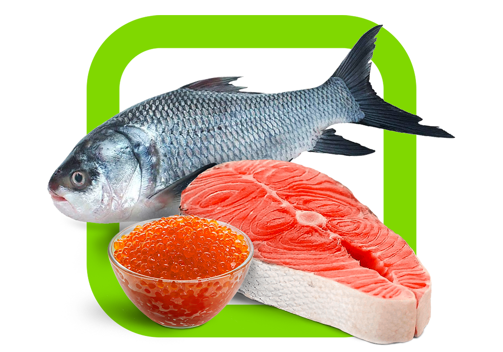 შეუკვეთე ონლაინ | 2nabiji